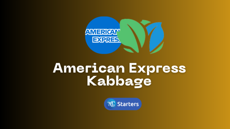 Kabbage Funding™ From American Express For Small Businesses