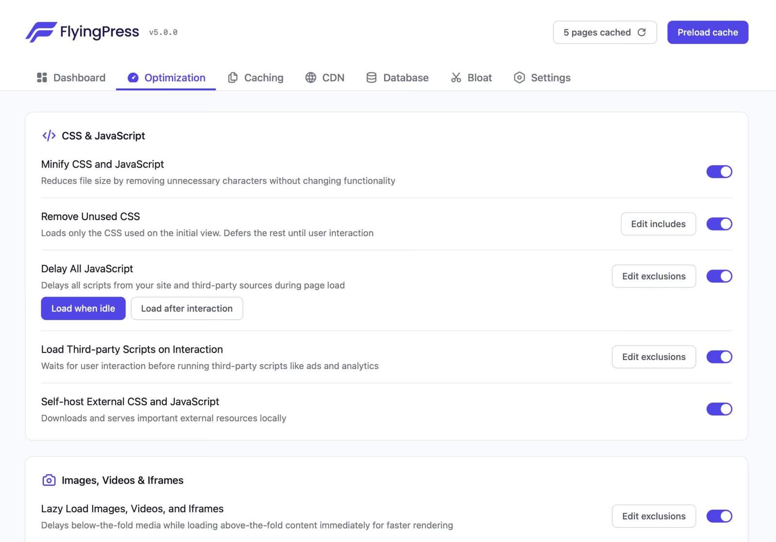 FlyingPress Review (2025)
